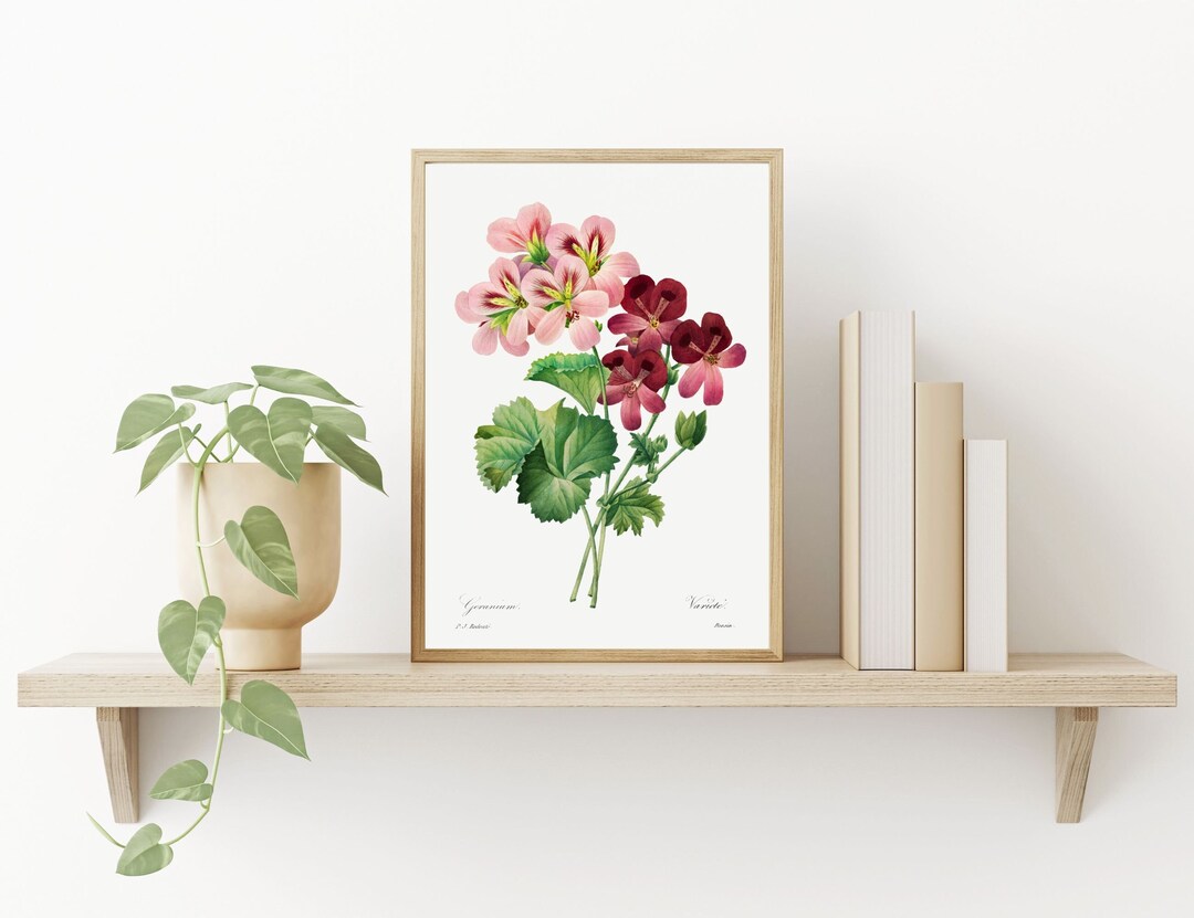 Printable Wall Art, Bouquet of Geranium Flower Prints, Floral Art Decor ...