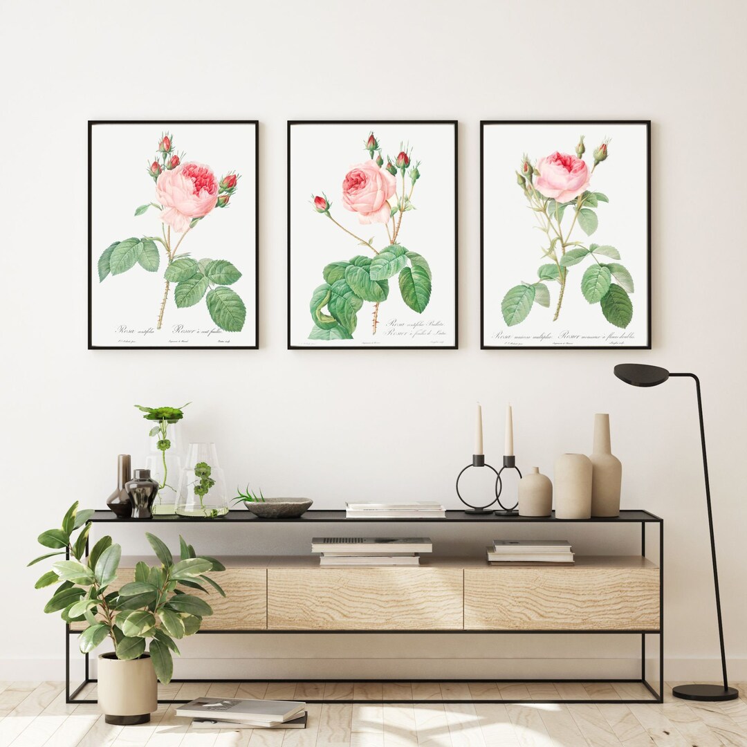 Printable Wall Art, Set of 3 Pink Rose Prints, Floral Art Decor ...