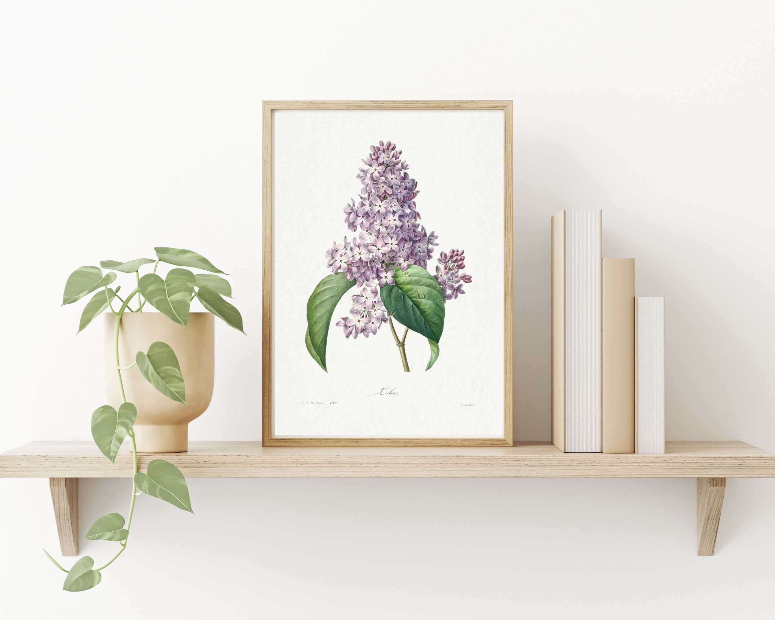 Printable Wall Art, Set of 2 Lilac Flower Prints, Floral Art Decor ...