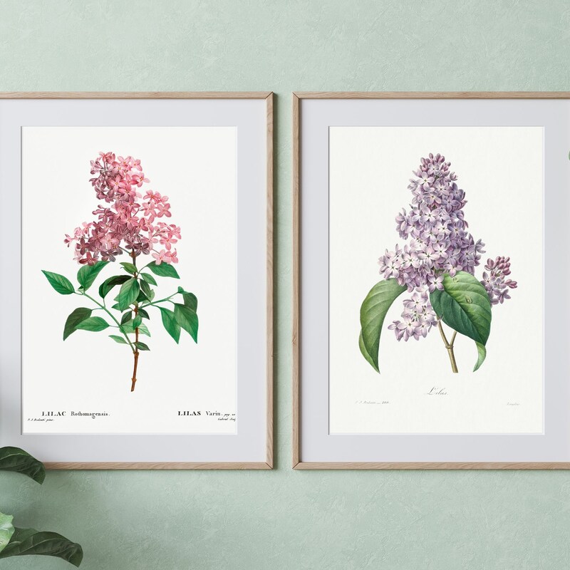 Lilac Flower Printables - Etsy UK
