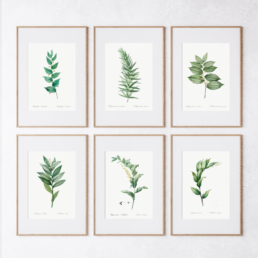Set of 6 Botanical Prints – Printable Flower & Green Plant Digital Wall ...