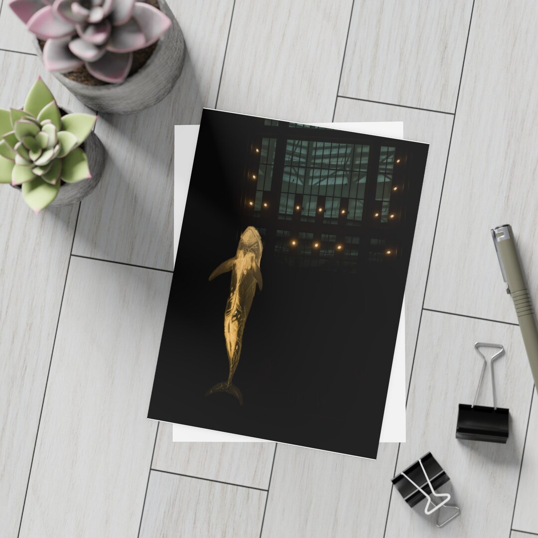 Whale Postcard, Museum of Natural History, Washington DC, Animal ...