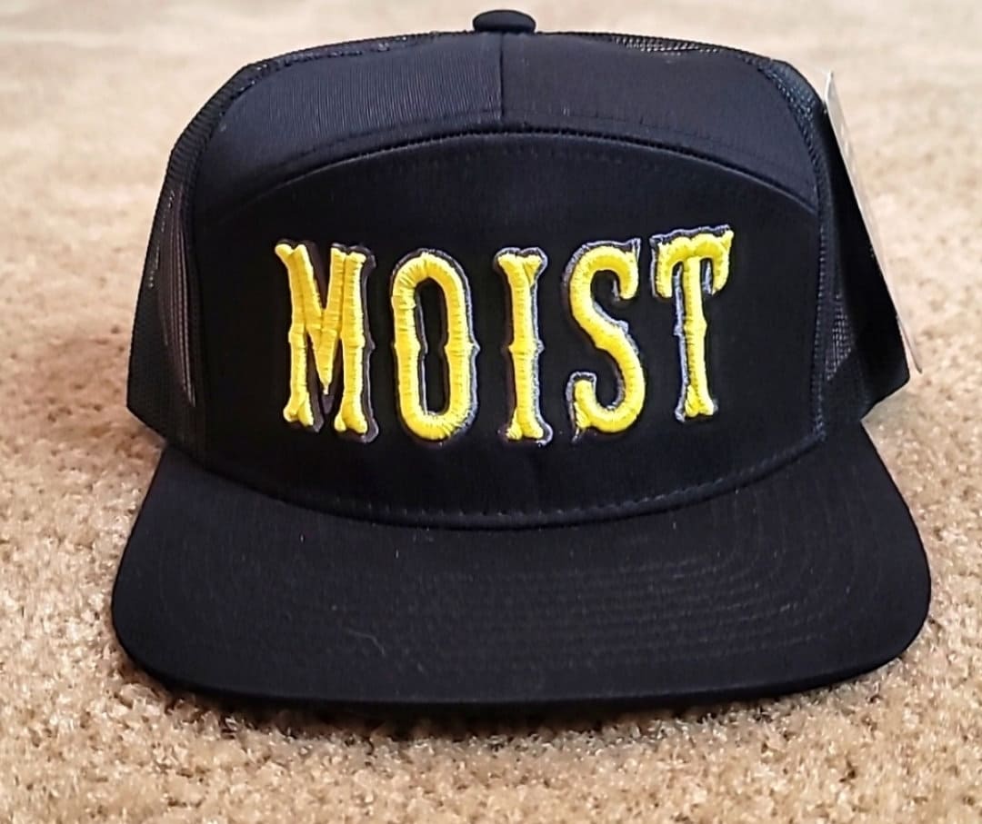 NEW Funny Offensive Custom Moist Logo Snapback Mesh Back Flat - Etsy