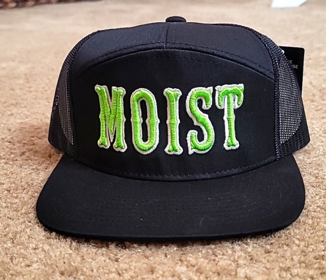 NEW Funny Offensive Custom Moist Logo Snapback Mesh Back Flat - Etsy