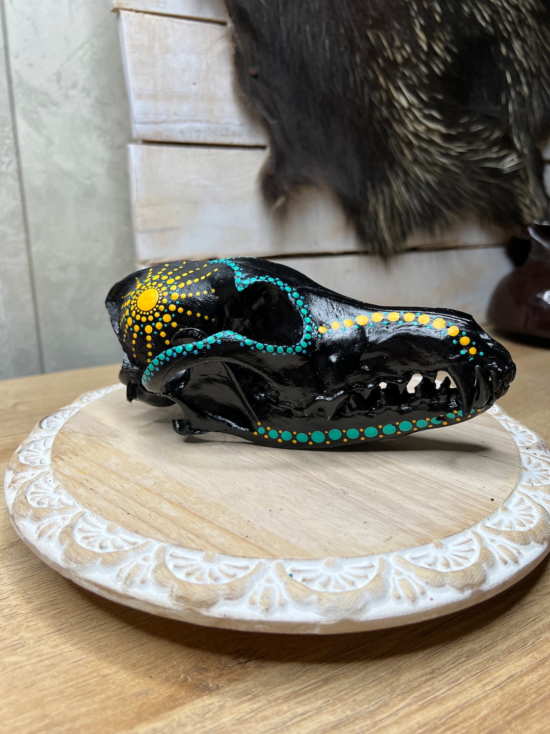 Real Coyote Skull Hand Painted in Mandala Dot Art Style With - Etsy