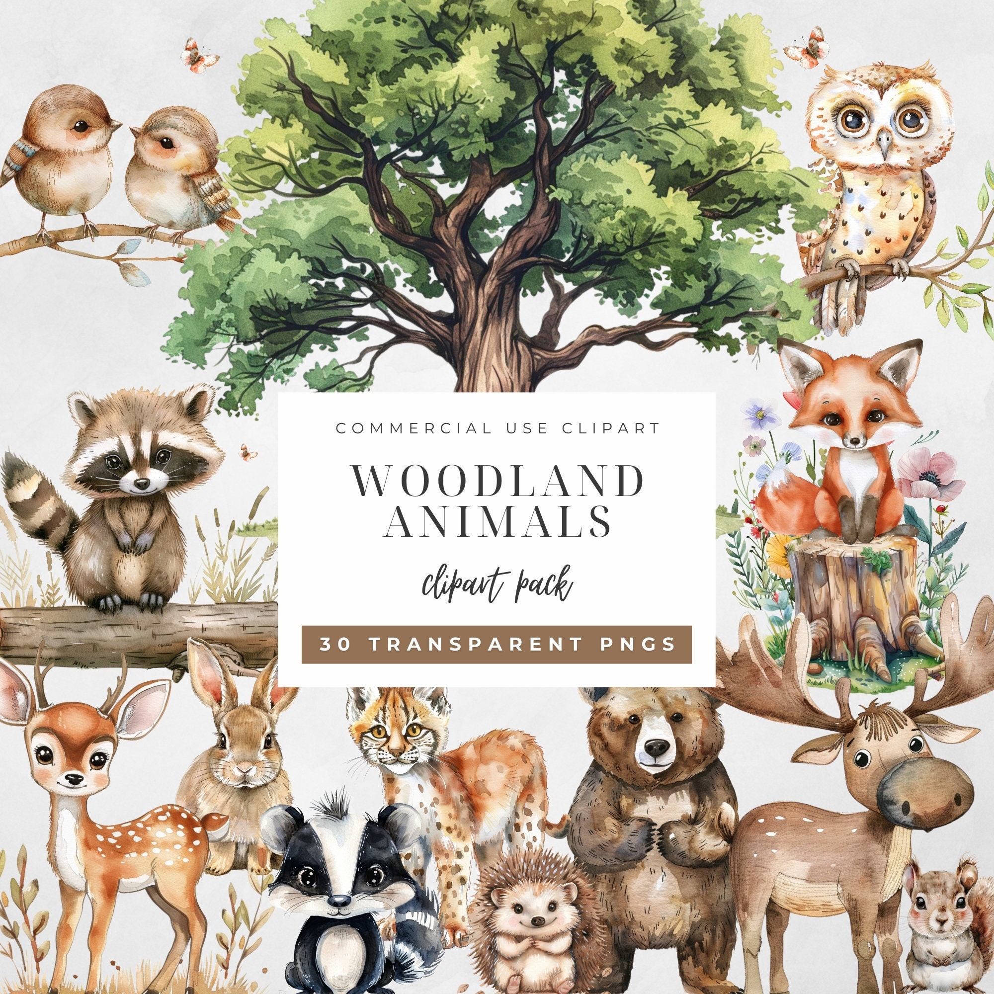 Woodland Animals Watercolor Clipart PNG Bundle Set Cute Forest Animals ...