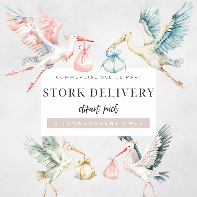 Stork Baby Girl Boy Delivery Clipart Pastel Watercolor PNG Bundle Set ...