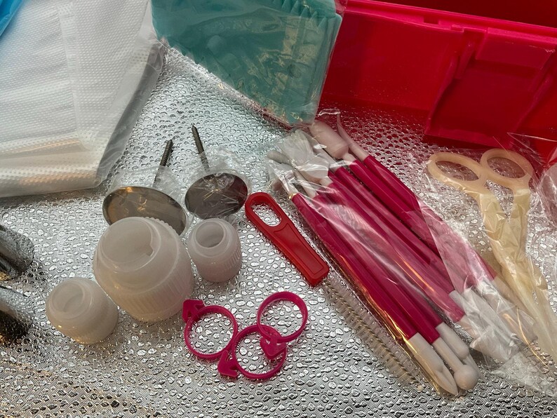 Complete Set With Case and Tools Beginners Cake Decorating Kit Unopened ...