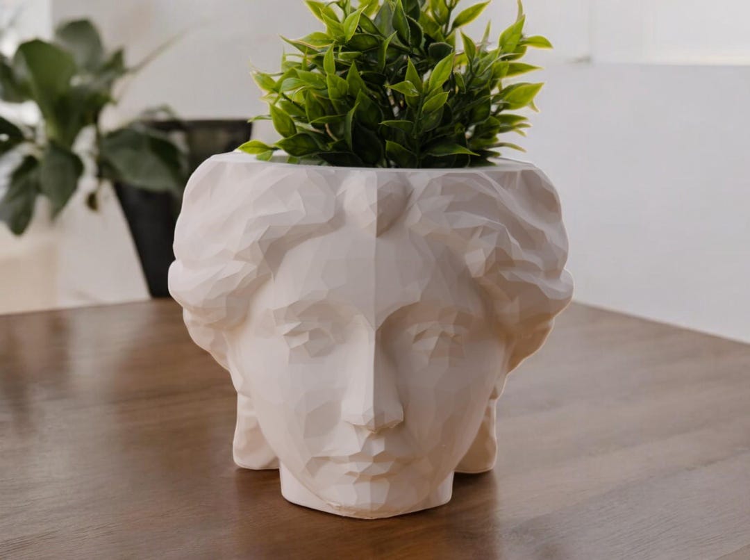 Roman Goddess Head Planter, Uniquely Designed Female Head Shaped Plant ...