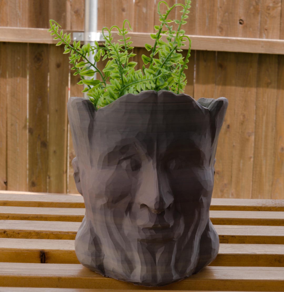 Whimsical Tree Spirit Planter – Enchanting 3D Printed Indoor Pot for ...