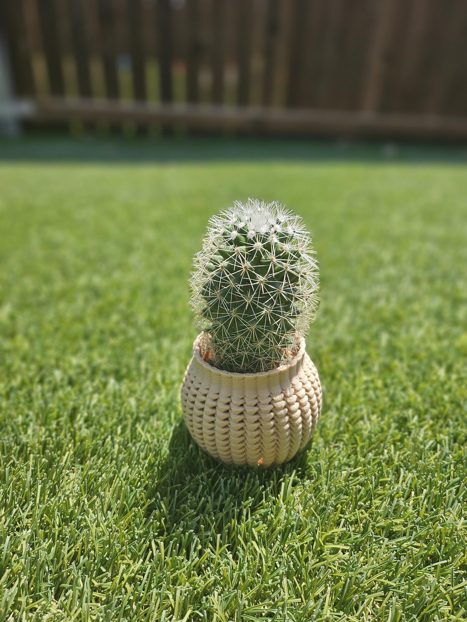 Modern Geometric Triangle Design Small Indoor Planter Vase Succulent ...