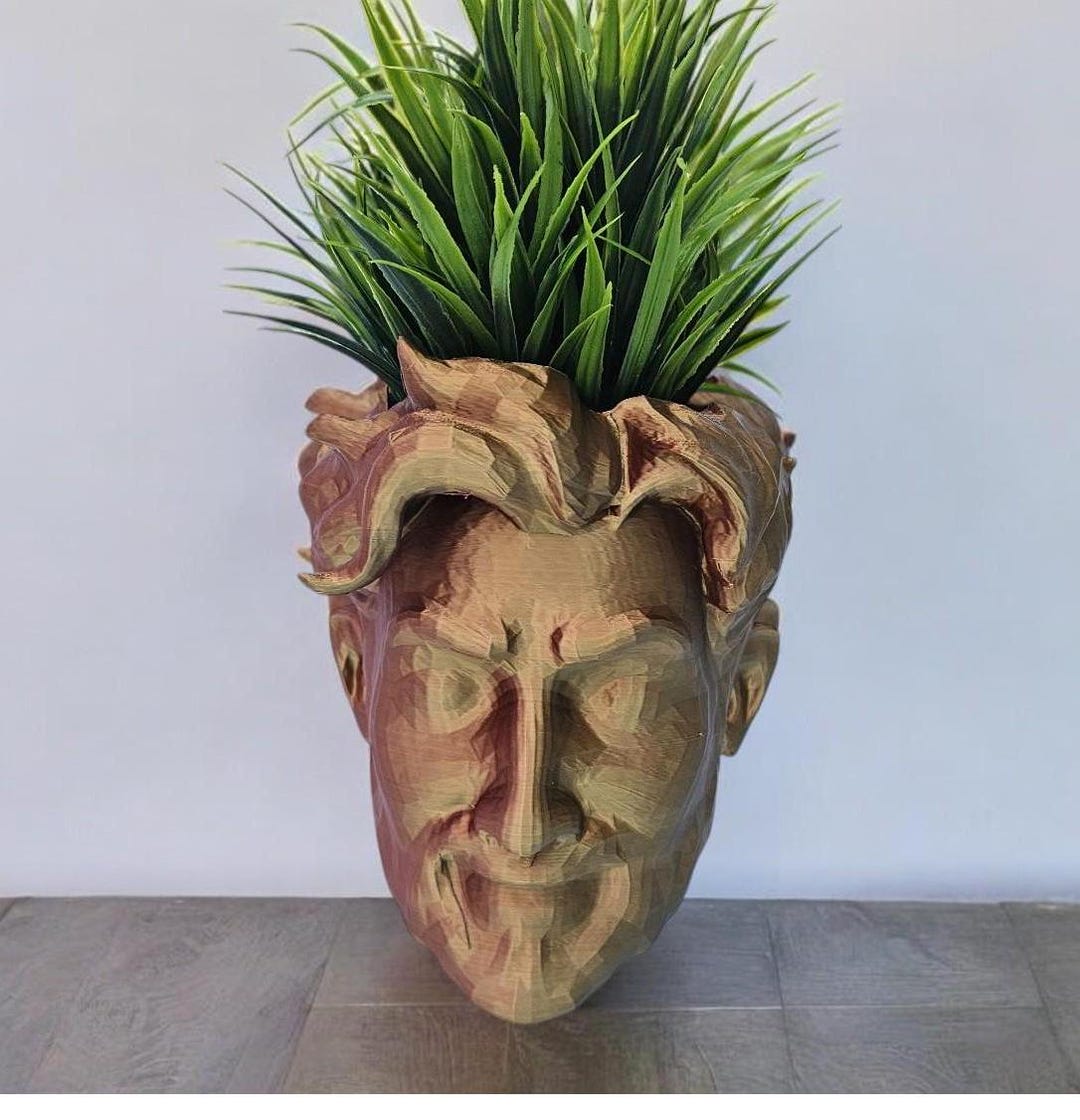 3D Printed Face Planter Pot: Unique Head-shaped PLA Decor - Etsy