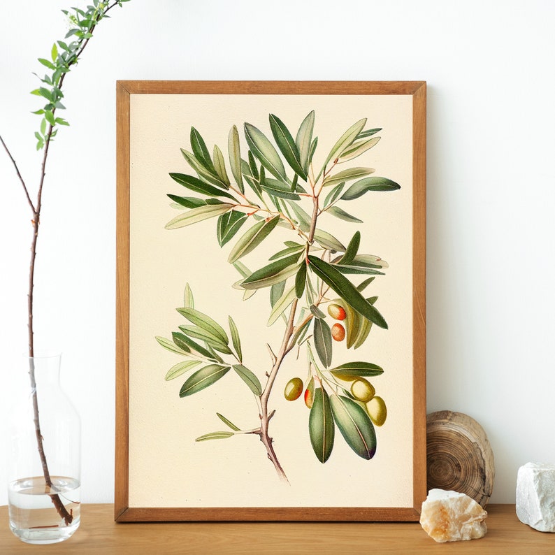 Vintage Watercolor Olive Branch, Wall Art, Nature Poster - Instant ...