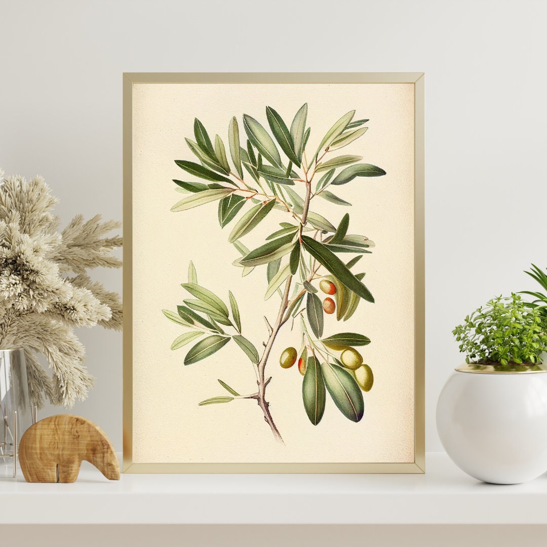 Vintage Watercolor Olive Branch, Wall Art, Nature Poster - Instant ...