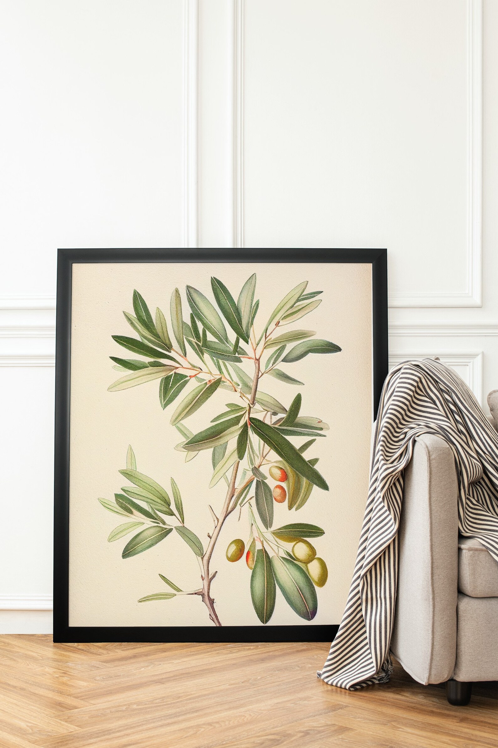 Vintage Watercolor Olive Branch, Wall Art, Nature Poster - Instant ...