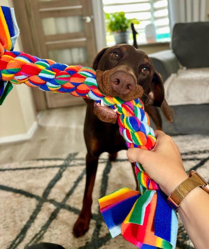 Chunky Tug Toy for Large Dogs | Multicoloured Dog Toy | Huge Dog Toy - Etsy