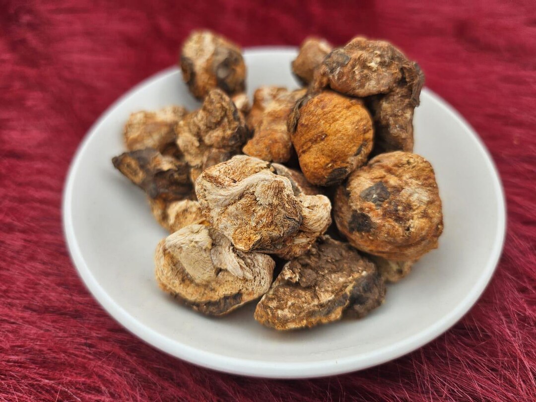 Natural Moroccan Bakbouka – Dried Herb Bunium Mauritanicum - Etsy