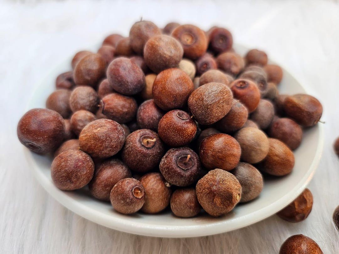 Wild Jujube Fruits – Natural Dried Nabaq Sedra (ziziphus Lotus) - Etsy