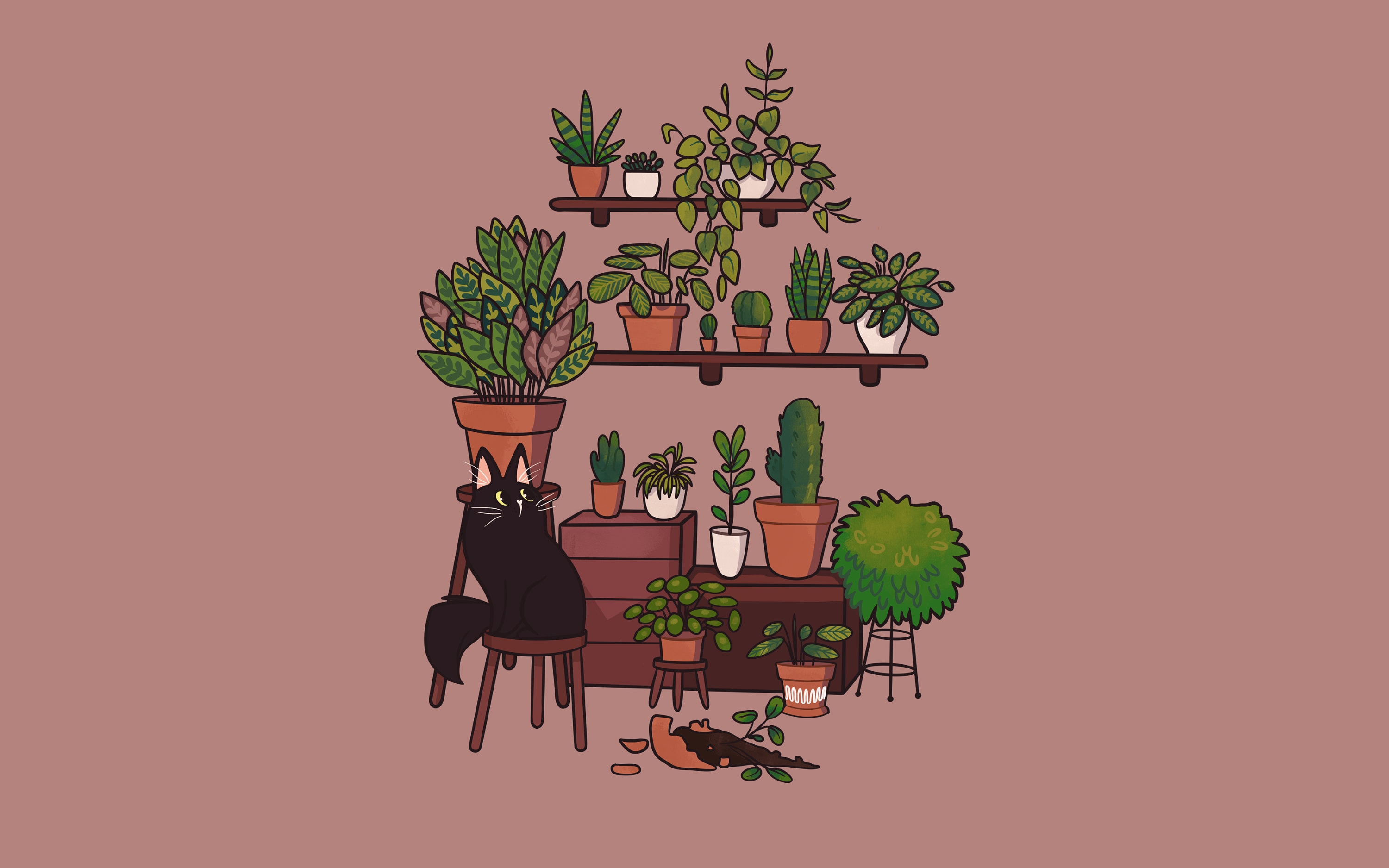 Cat and Plants - Desktop Organizer Wallpaper Icons Folder I Wallpaper ...