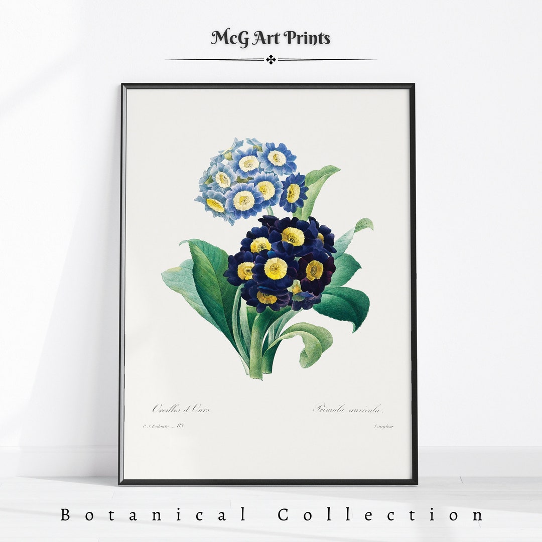 Cowslip Primrose Watercolor Painting Botanical Wall Art Print Boho ...