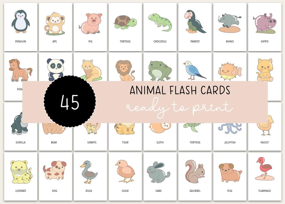 45 Animal Flashcards for Kids, Learn Animals Cards for Kids, Zoo Cards ...