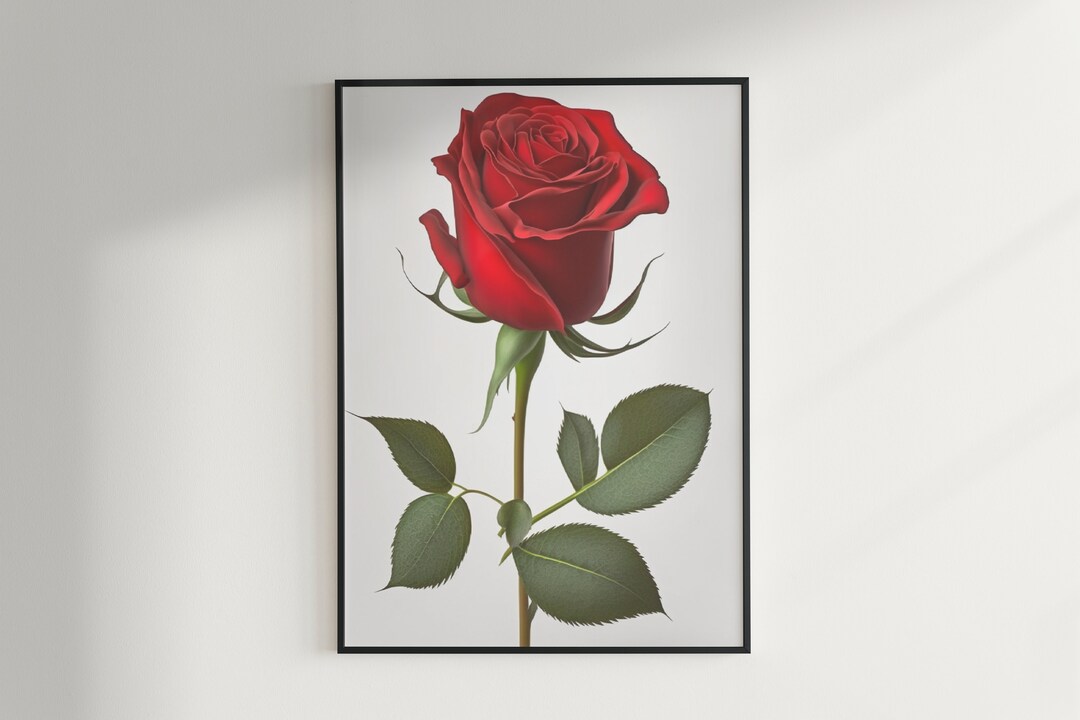 Red Rose Digital Print - Red Rose, Art, Digital, Print, Red, Rose Art ...