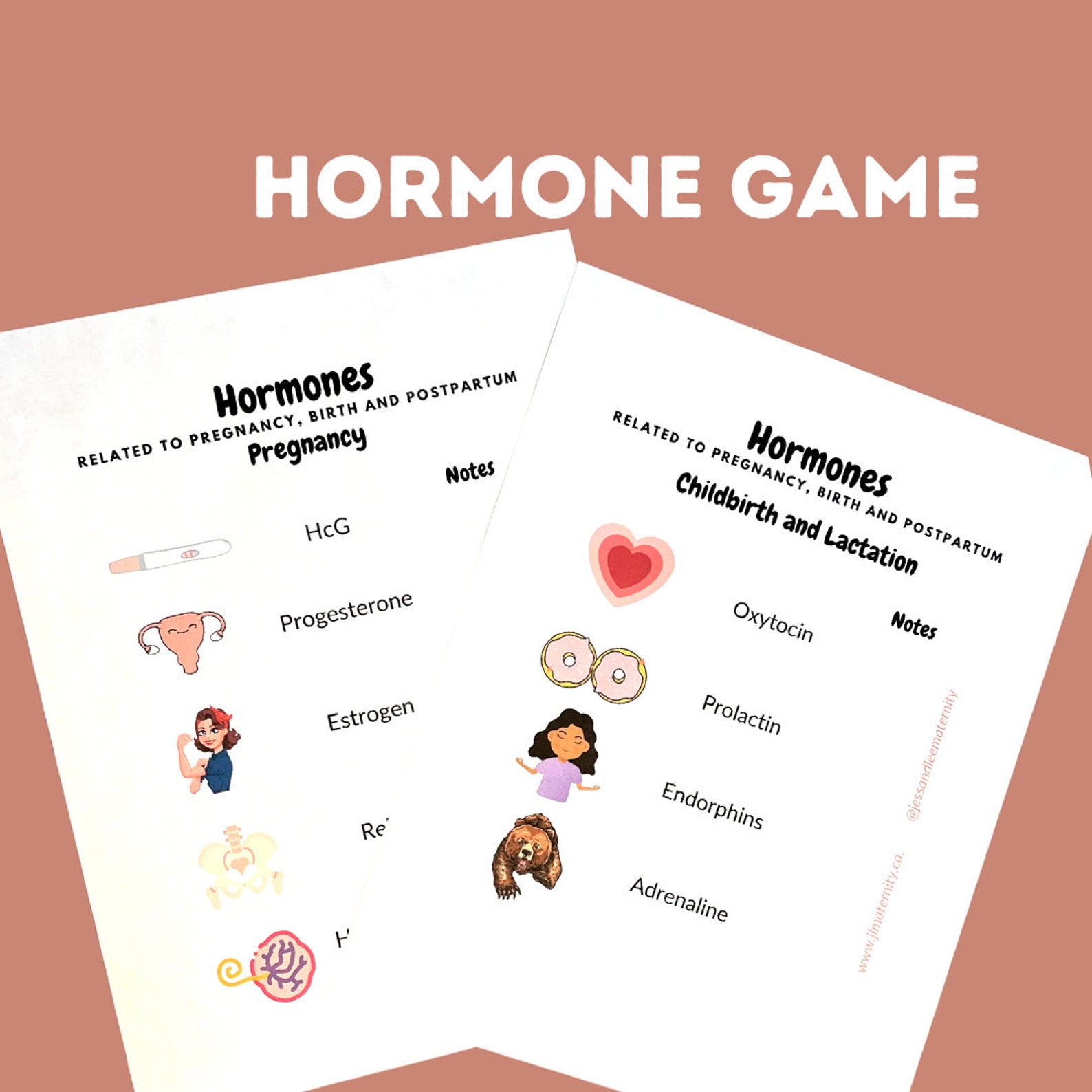 Childbirth/prenatal Class Hormone Activity Sheet - Etsy