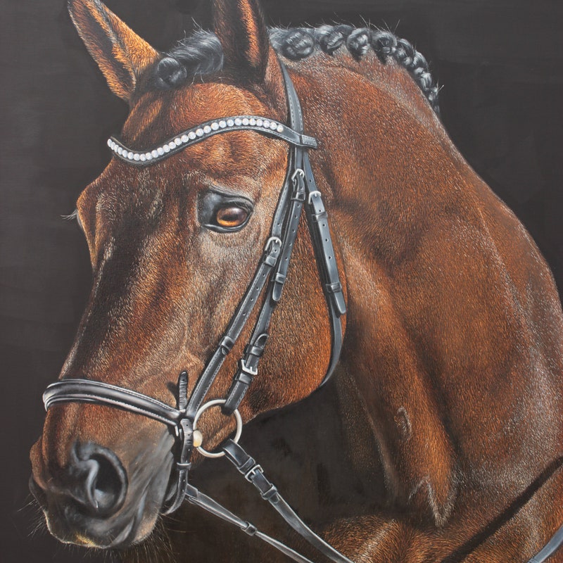 Horse Drawing - Etsy