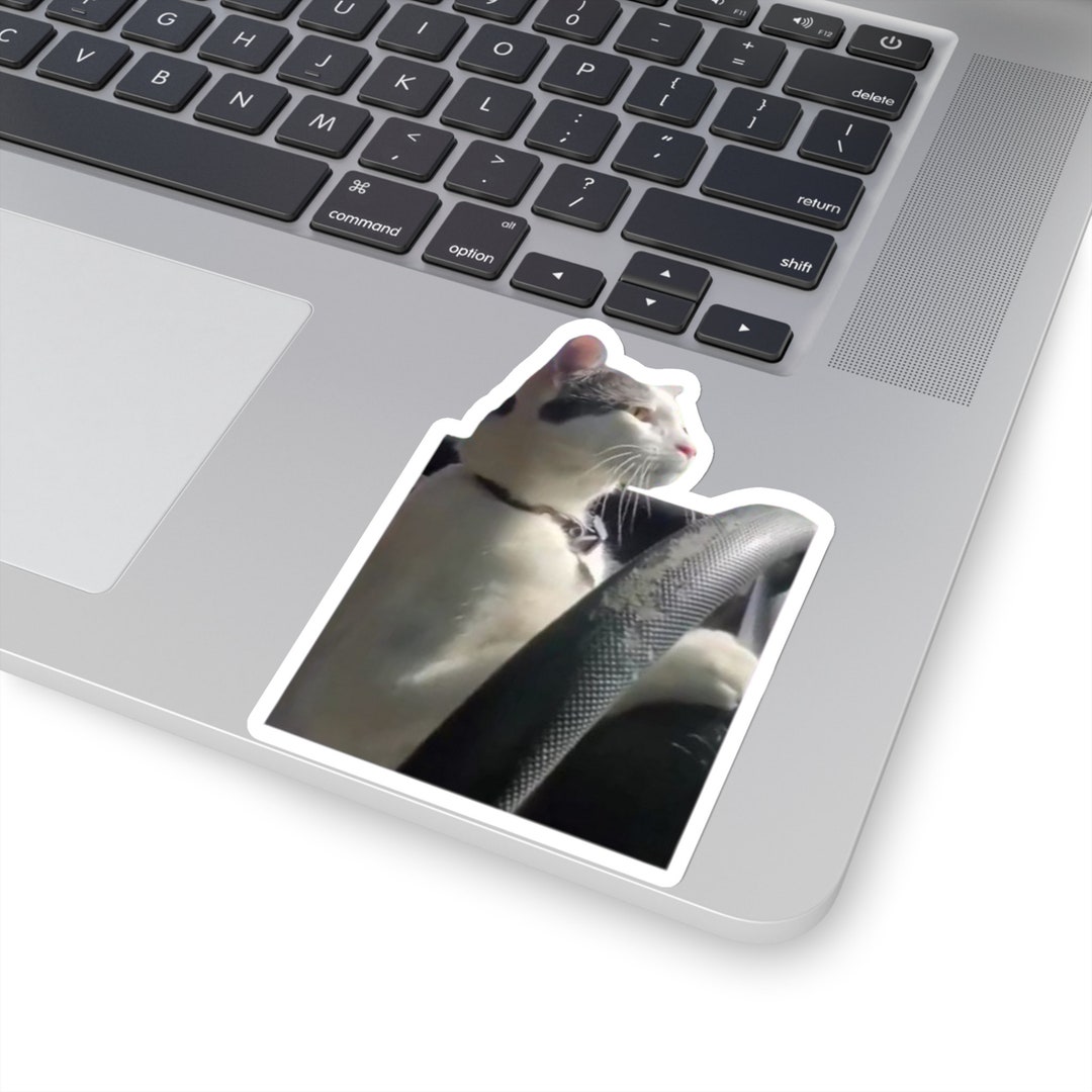 Cat Driving Meme - Etsy