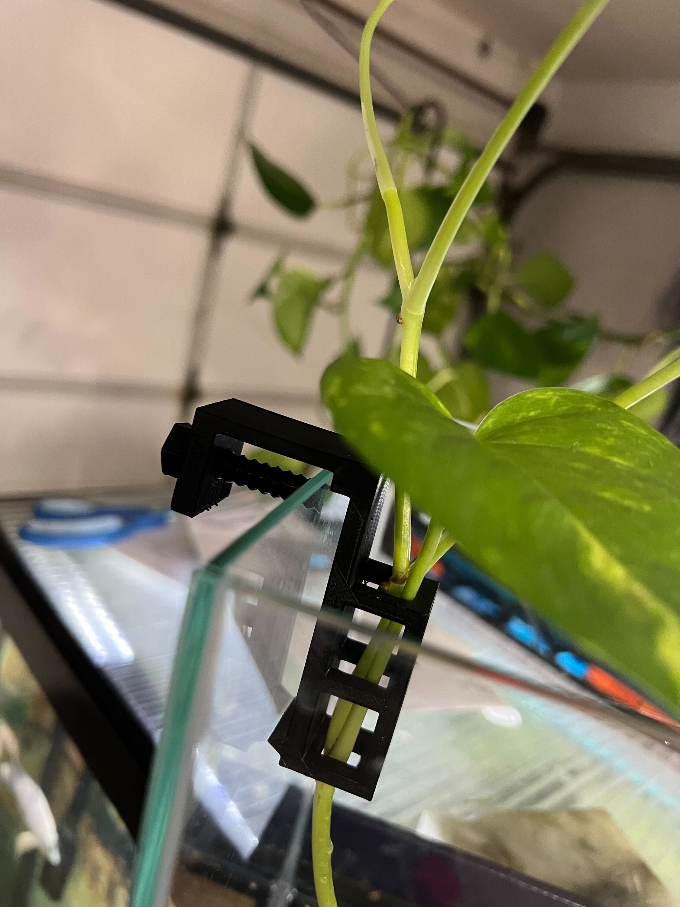 5 PACK Adjustable Aquarium Plant Holder for 10-200 Gallon Fish - Etsy