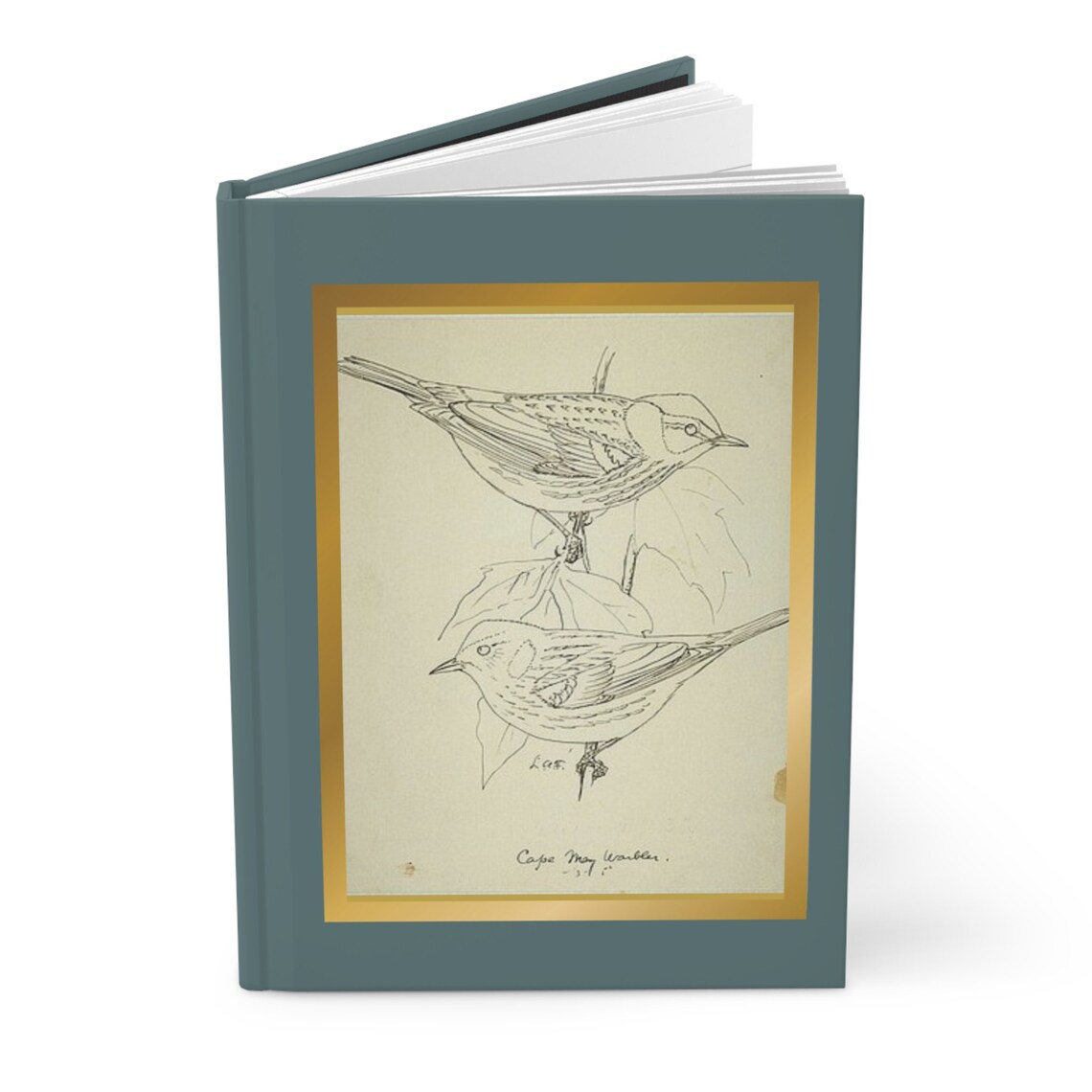 Birding Journal Gift for Birder Journal Birding Notebook Gift for ...