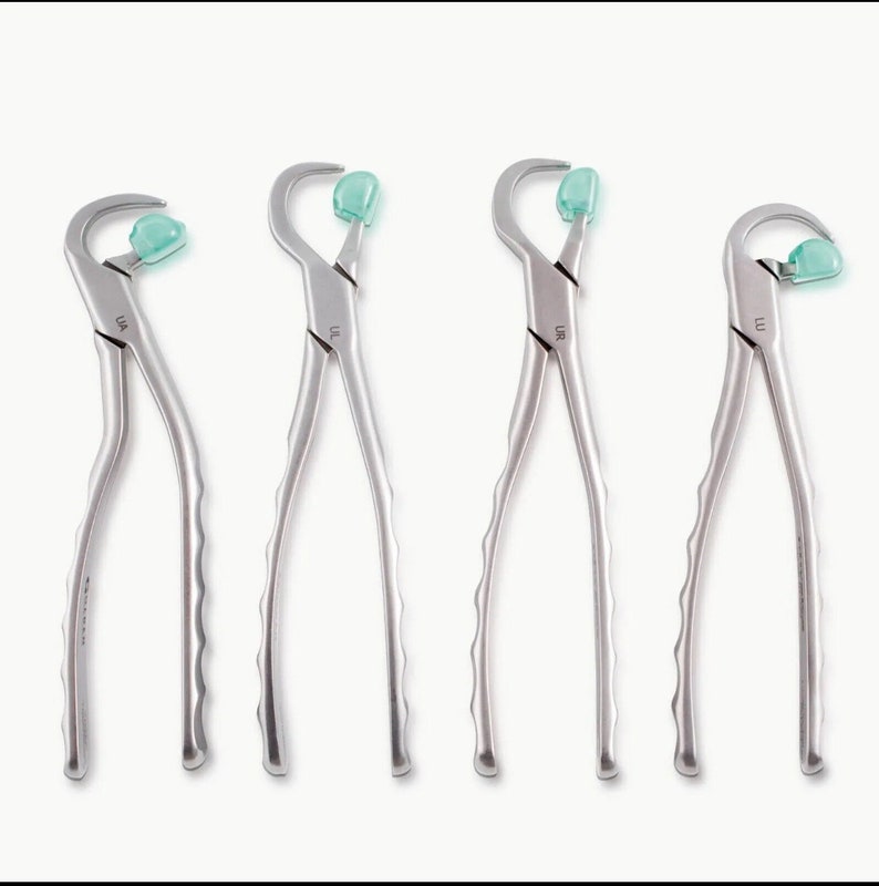 Dental Extraction Forceps Standard Series Set of 4 Pcs 40 Bumpers Free ...