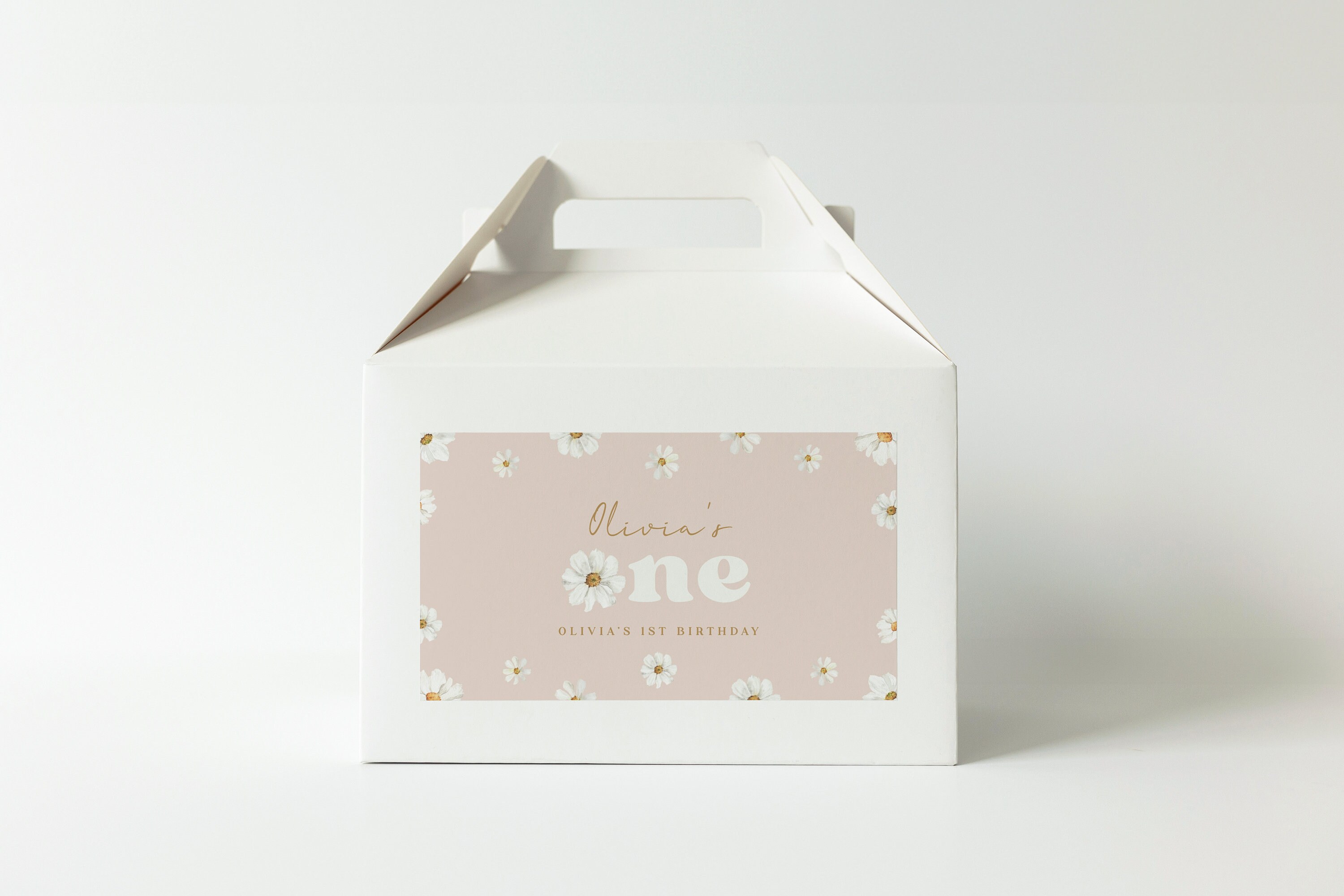 Daisy Photo Banner Sign Retro Daisy Onederful First Birthday DIY Photo ...