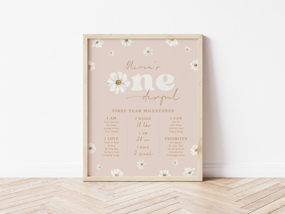 Daisy Photo Banner Sign Retro Daisy Onederful First Birthday DIY Photo ...