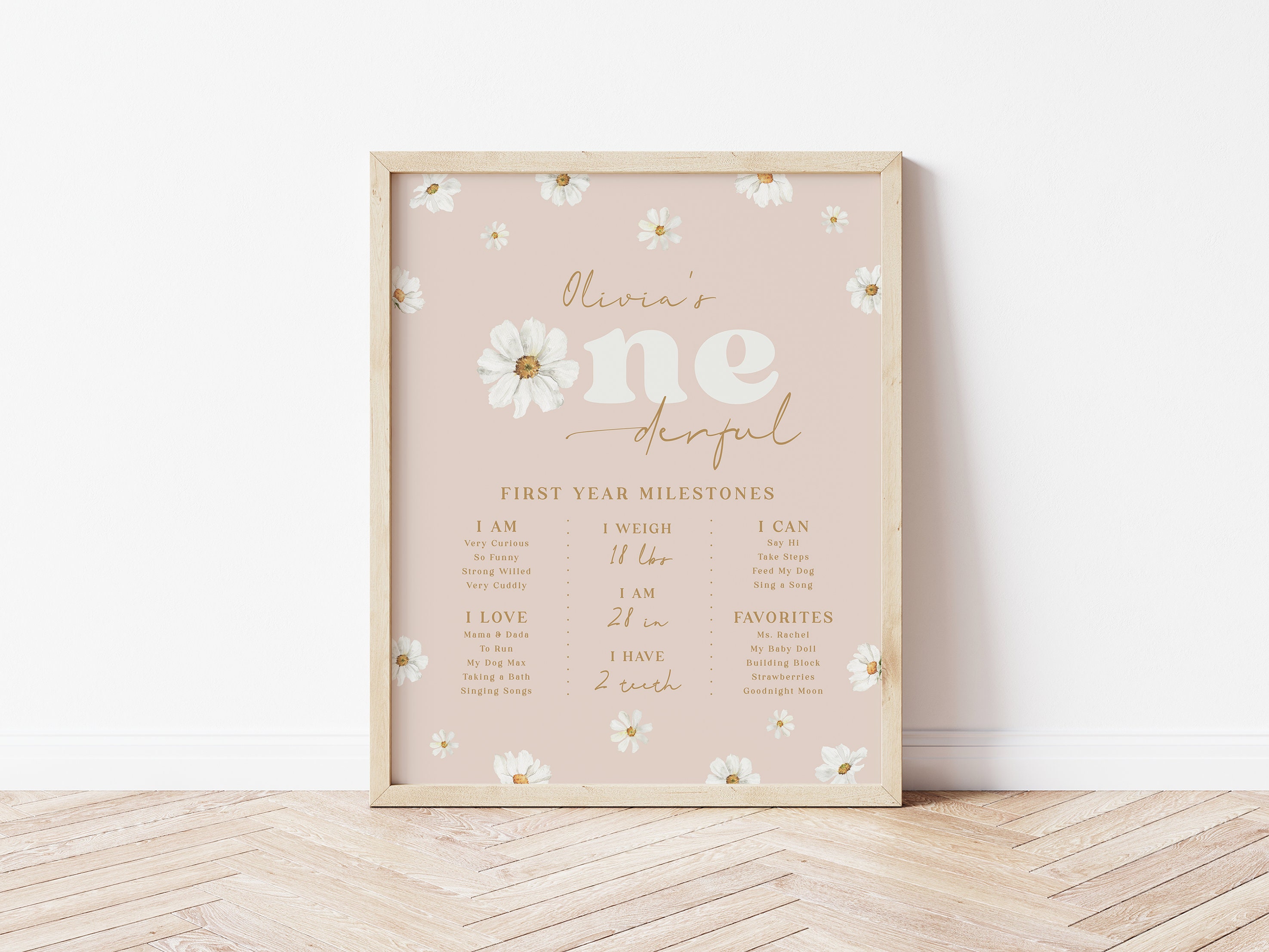 Daisy Photo Banner Sign Retro Daisy Onederful First Birthday DIY Photo ...
