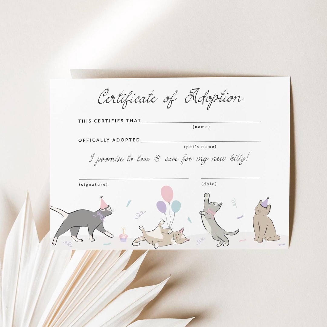 Cat Adoption Certificate Adopt a Kitten Form Editable Cat Certificate ...