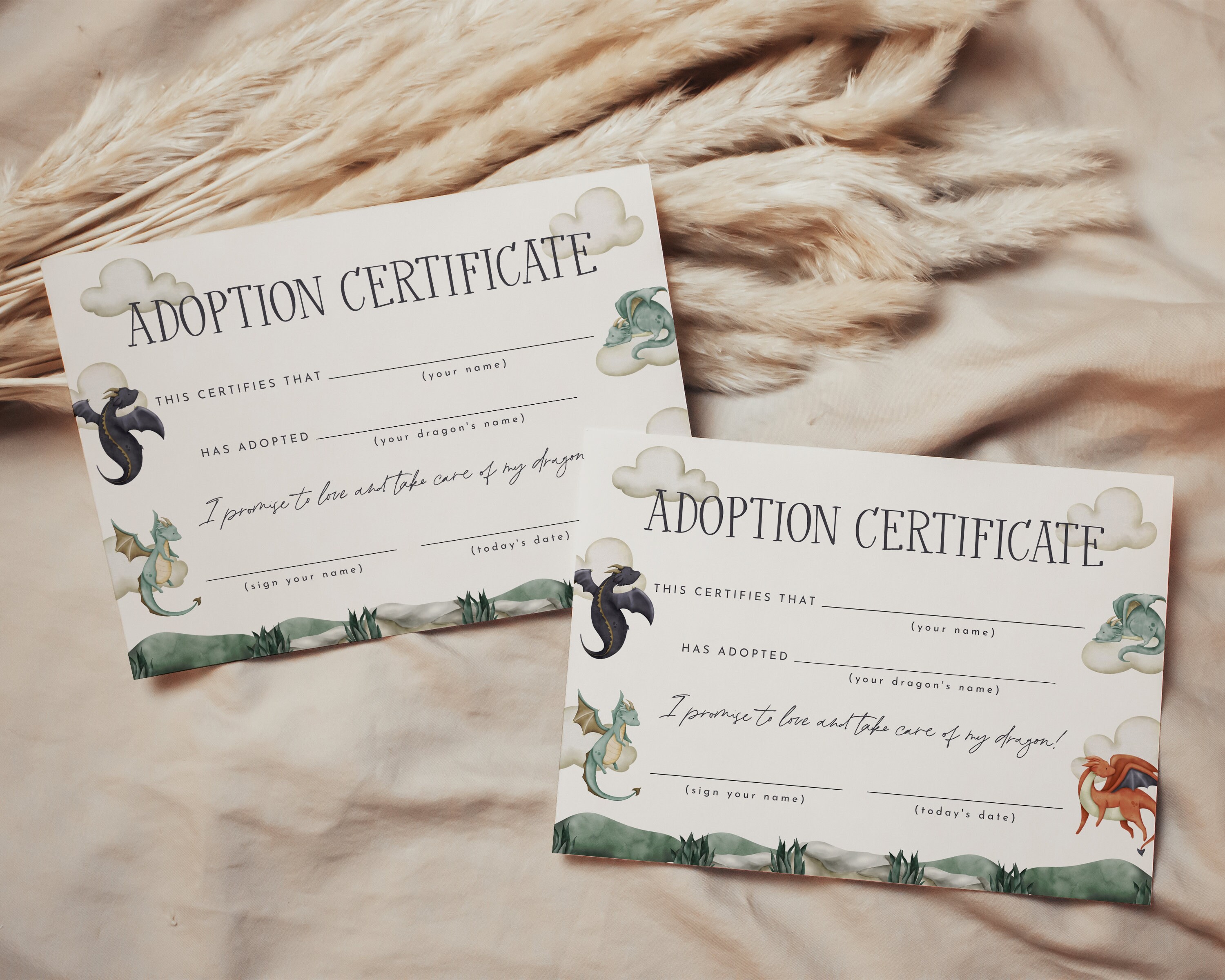 Dragon Adoption Certificate, Adopt a Dragon Form, Boy Dragon Birthday ...