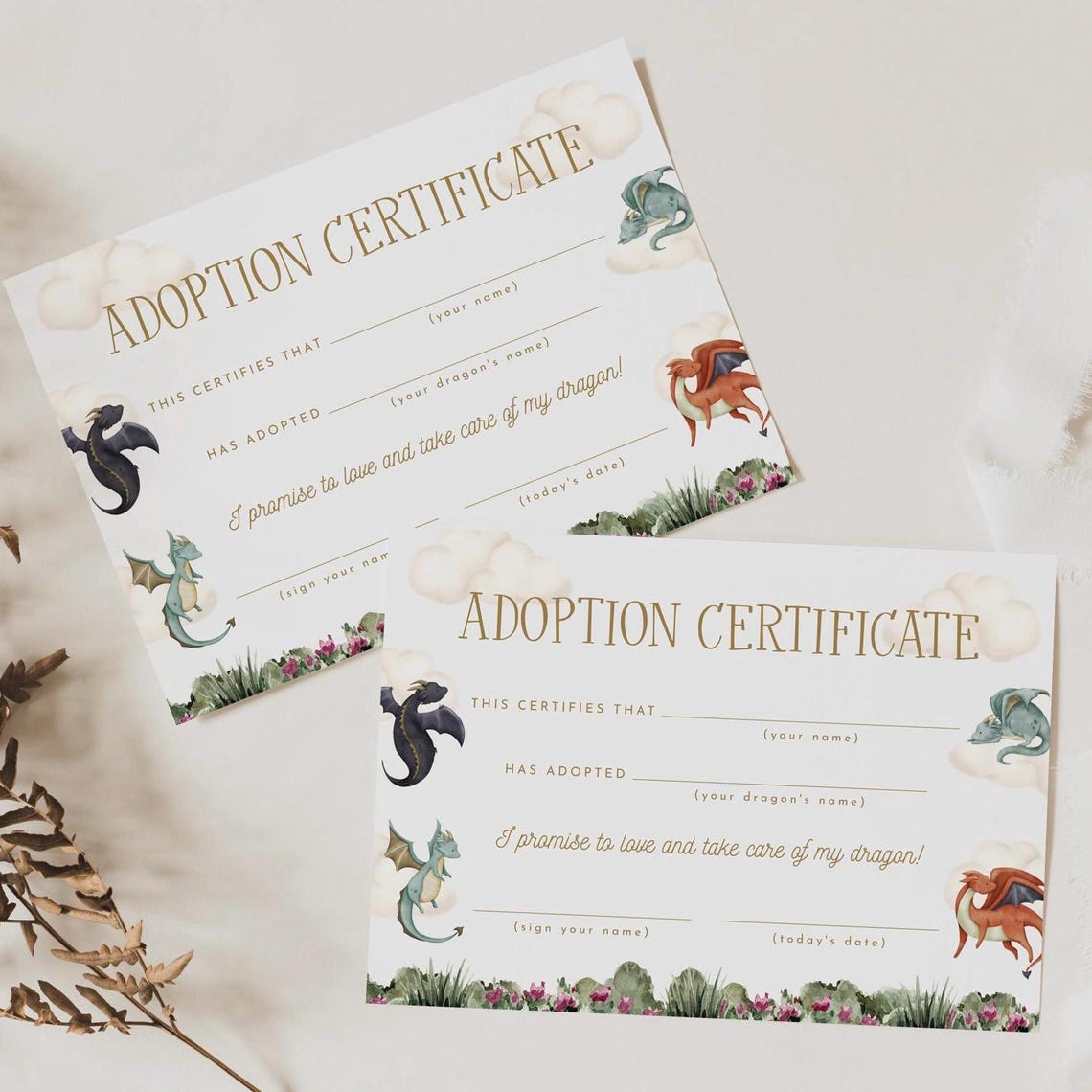 Dragon Adoption Certificate Adopt a Dragon Form Template Girl Boy Joint ...