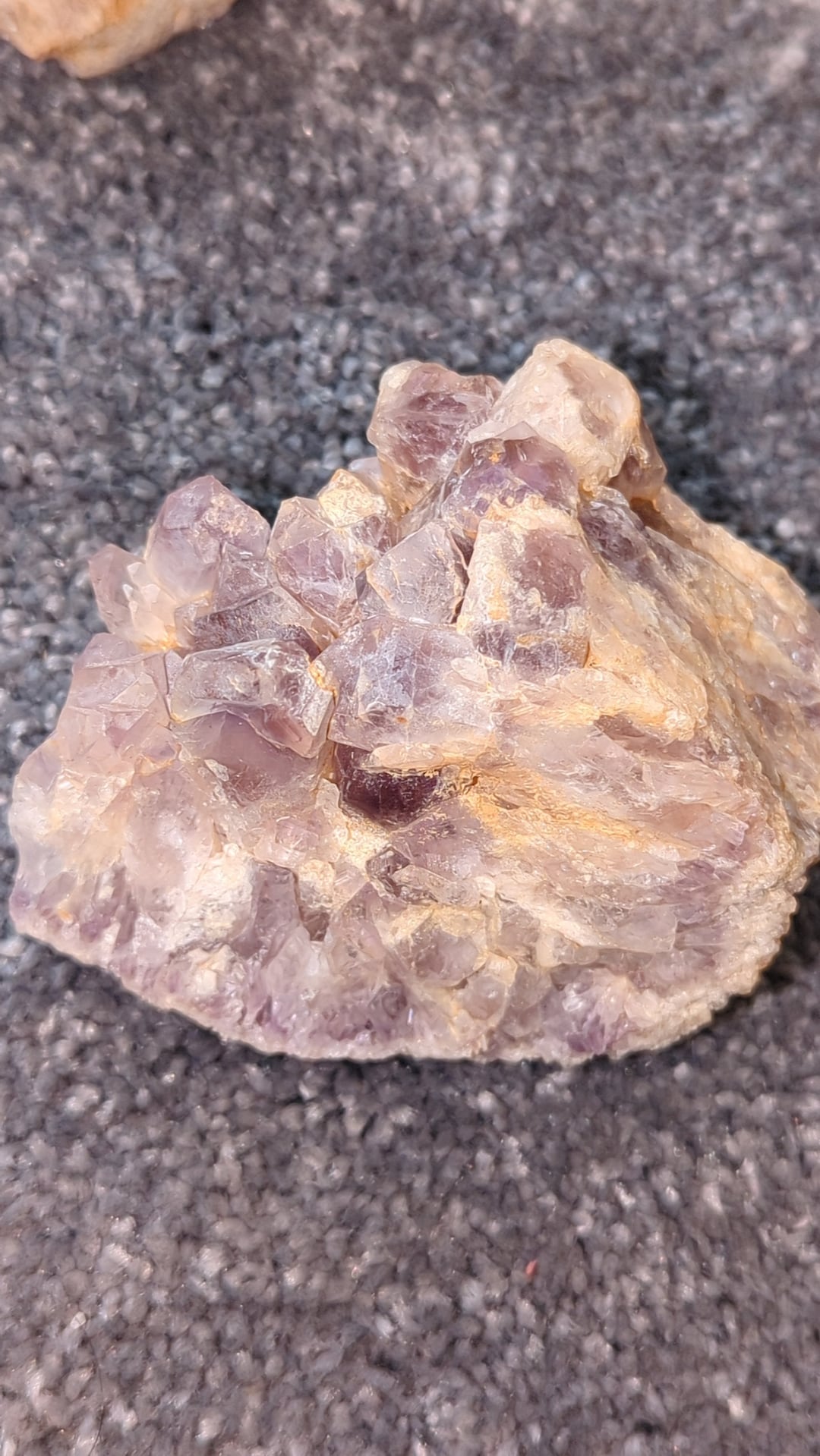 Large Raw Amythest Cluster Specimen - Etsy