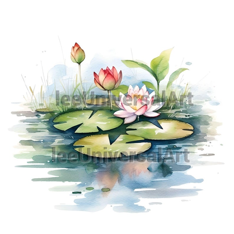 Watercolor Lily Pond Clipart Springtime Cute Lily Pad and Frog Pond PNG ...