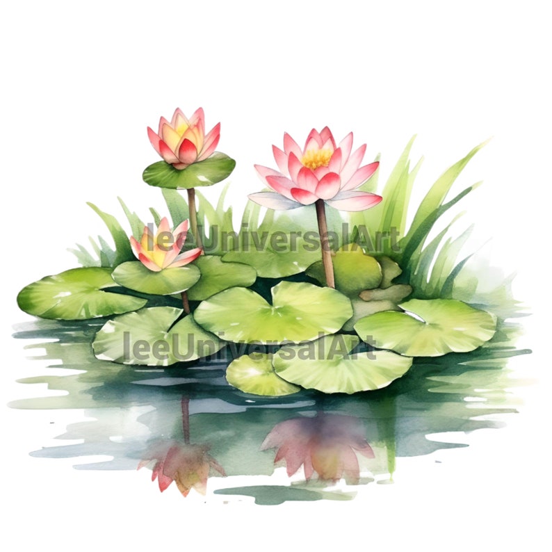 Watercolor Lily Pond Clipart Springtime Cute Lily Pad and Frog Pond PNG ...