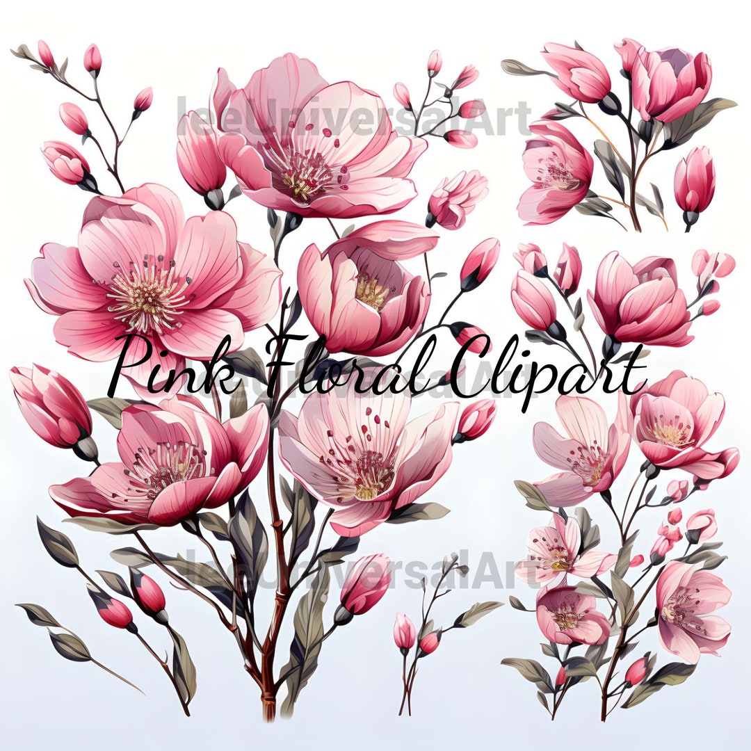 Pink Floral Clipart Cool Beautiful Wedding Any Occasion Rustic Light ...