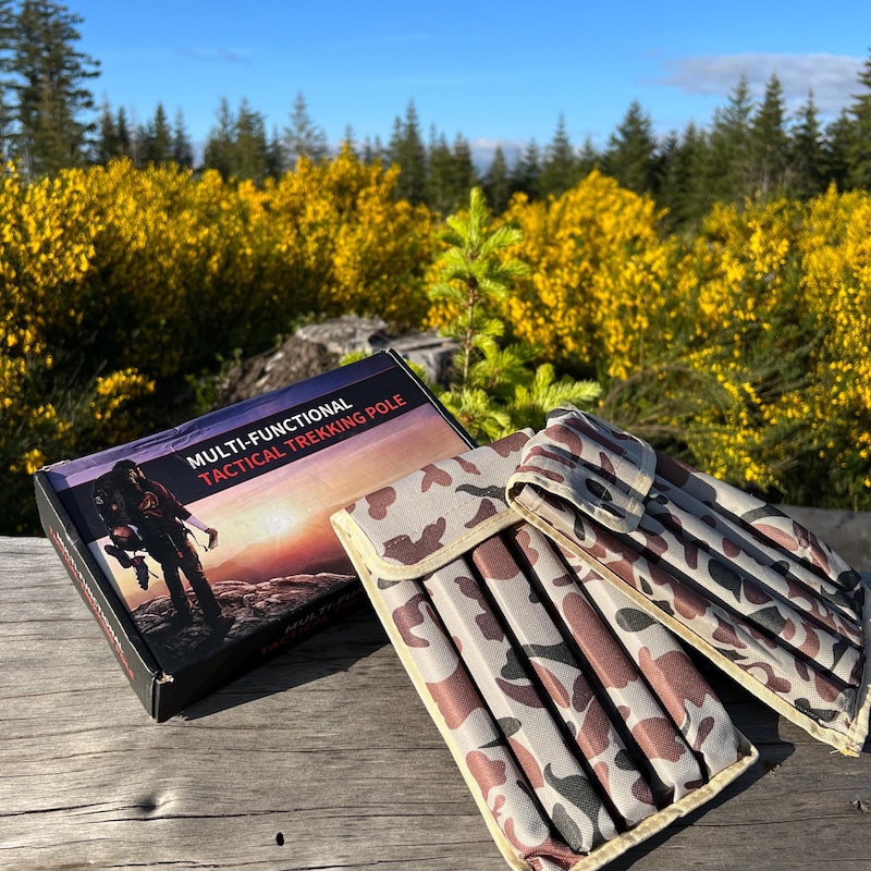 Hiking Stick With Light - Etsy