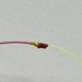 Euro Nymphing Leader W/ Sighter and Tippet Ring (25 Ft) - Hand Tied ...