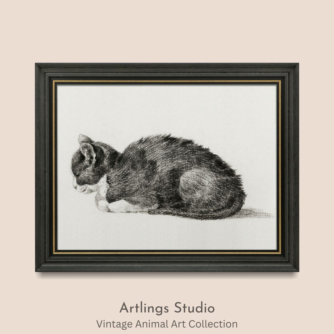 Black and White Cat Laying Facing Left 1800, Line Drawing, Vintage Wall ...