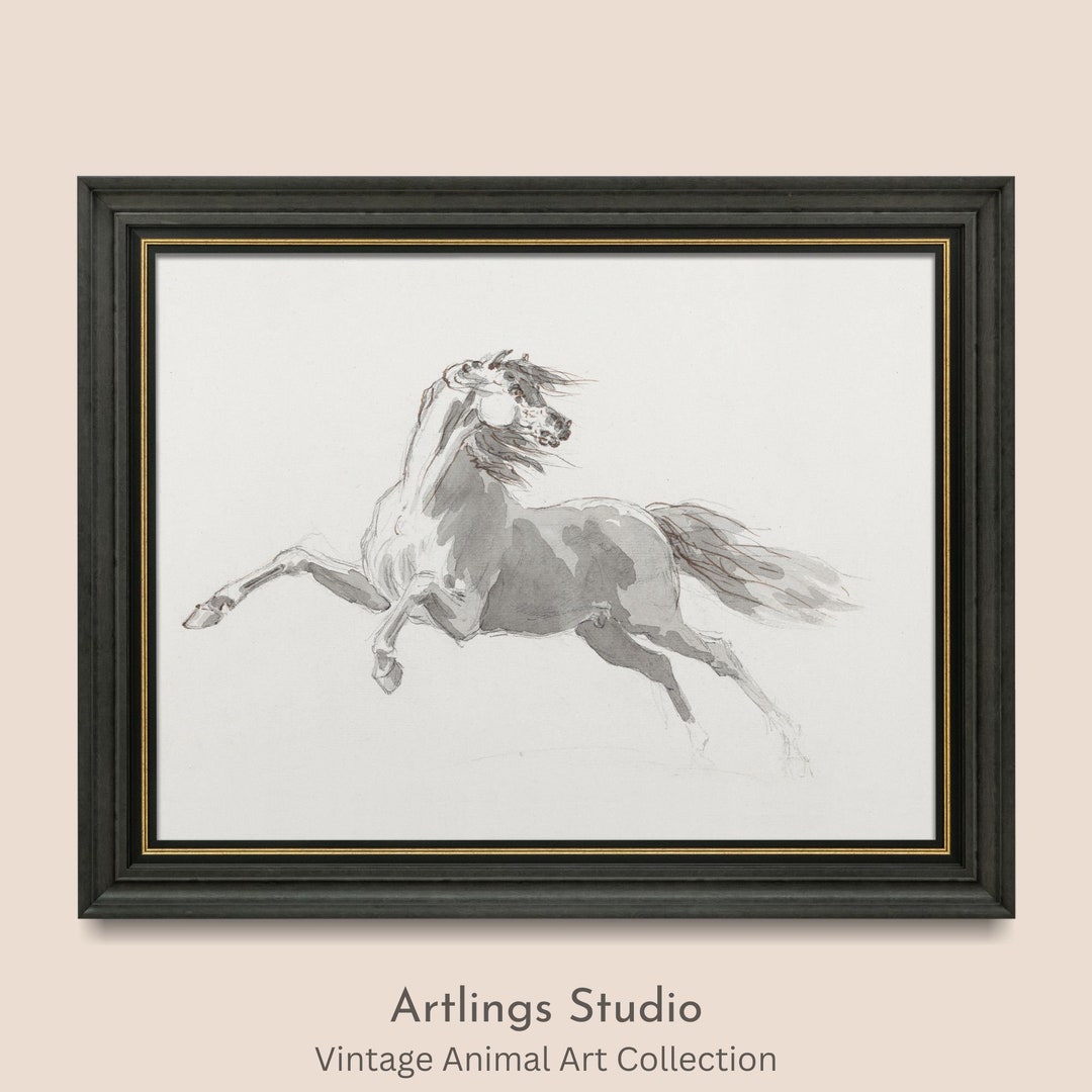 Vintage Sketch of a Horse Black and White Line Drawing - Etsy