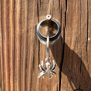 Spider Skull Bug Plug Hoops – 4g 2g 0g 00g 7/16 1/2 9/16 5/8 3/4 7/8 1 ...