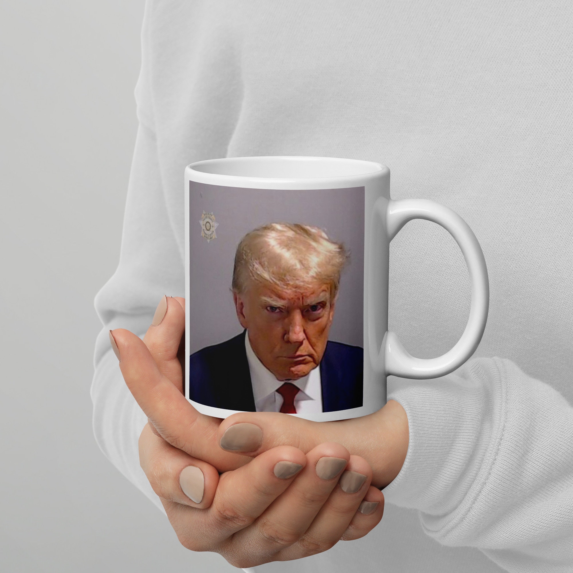 Donald Trump Mugshot 2024 Mug