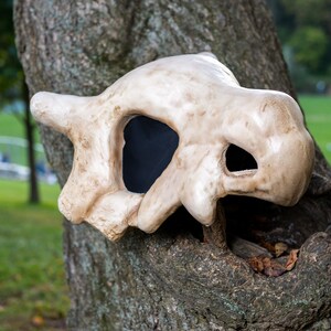 Cubone Skull Helmet - Wearable Cosplay Prop - Etsy