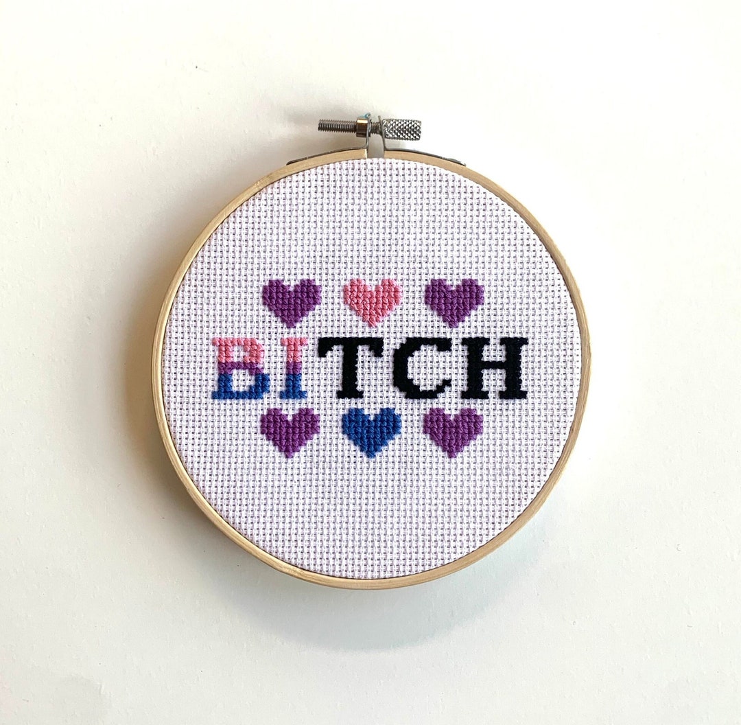 5 Finished Bi Pride Cross Stitch - Etsy